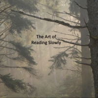The “Real” and the “Realistic” – The Art of Reading Slowly
